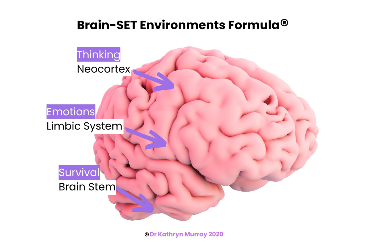More than just where to put the furniture – The Brain-SET Environments ...